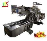 China 220 / 380 / 440v PLC Fruit Processing Line Machinery For Industrial Use for sale