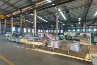 China Mango Pulp Processing Line Aseptic Bag Bottle Mango Pulp Processing Machinery for sale
