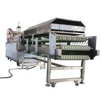 China Double Heads 20-30cm 1300pcs/H Commercial Tortilla Machine for High-Volume Production for sale