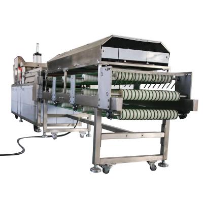 China Double Heads 20-30cm 1300pcs/H Commercial Tortilla Machine for High-Volume Production for sale