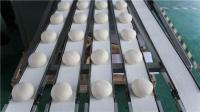China 304 Stainless Steel And High Output Tortilla Machine With Adjustable Diameter for sale