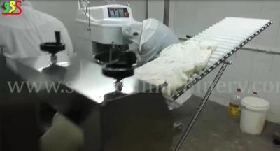 China Machinery Test Provide Tortilla Production Line Including Tortilla Diameter 20cm to 45cm and Pressure Range 0.8 to 1Mpa for Tortilla Output for sale