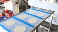 China Tortilla Production Line with Dough Balls Making Machine Featuring ±2 Gram Dough Accuracy and 304 Stainless Steel Material for sale