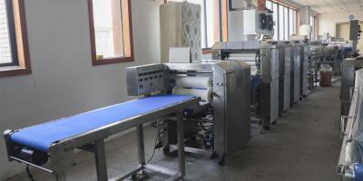 China 2024 Newest And Automatic Tortilla Production Line BP-720 For SSS for sale
