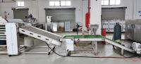 China Fully Automatic Flour Tortilla Production Equipment With Schneider Electric Components for sale