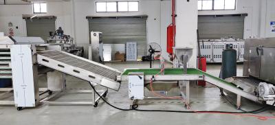 China Fully Automatic Flour Tortilla Production Equipment With Schneider Electric Components for sale