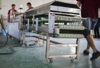 China Factory Chapati Manufacturing Machine , 100mm Corn Tortilla Machine for sale