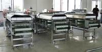 China Intellectualization 900pcs/h Arabic Pita Bread Maker for sale