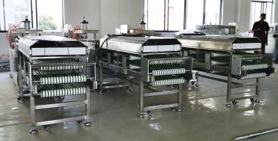 China Intellectualization 900pcs/h Arabic Pita Bread Maker for sale
