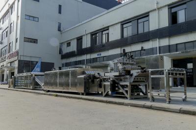 China 304 Stainless Steel ISO tortilla making production line Lavash Production Line for sale
