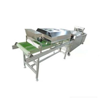 China Corrosion Resistant 45cm 800pcs/h Tortilla Production Line for sale