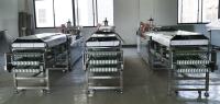 China Tortilla Machine With Renmin Cable For High Volume Production CE Certified for sale