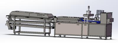 China Automatic Two Extruders Tortilla Production Line Spring Roll Taco Making for sale