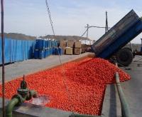 China Automatic Tomato Paste Production Line for sale