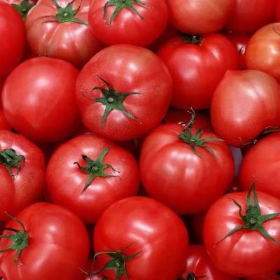 China Customized Voltage Fruit Jam Paste Sauce Processing System 10g Bag 220L Aseptic Bag Packing for sale