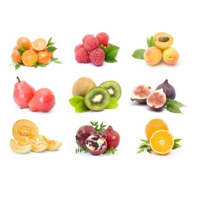 China Passion Fruit And Mango Production Line 200kg Per Hour for sale
