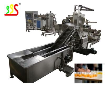 China Small And Medium Fruit Production Line Less Than 1000kg/Hour for sale