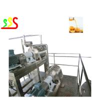 China Industry Fresh Mango Pulp Processing Line Automatic for sale