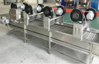 China Fresh Mango Fruit Processing Line 2 Tons Per Hour for sale