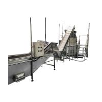 China 2t/H Raw Mango Juice Processing Machine 300 - 500ml Bottle for sale