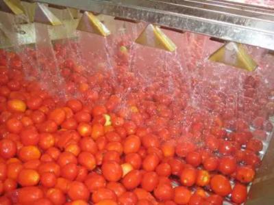 China PLC Jam  Processing System Automated Production Line Speed 30 - 50 Bottles/Min for sale