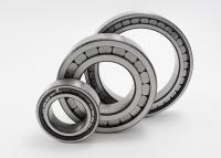 China SL182204 Single Row Cylindrical Roller Bearing 20x47x18mm Full Complement Straight Bore 45.5KN Load Capacity for sale
