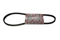 China ISUZU NKR 4JB1 4JA1 4JH1 BELT 5-87610060-0 5876100600  8944781731 for sale