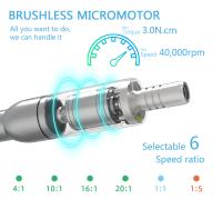 China COXO Dental Micromotor INT+Fiber Optic For Lab High Torque for sale