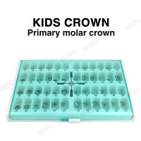 China Kids Crown Primary Molar Crown  For Primary Molars Professional Grade for sale