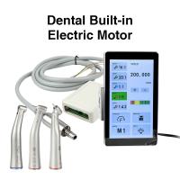 China Dental Built-in Electric Motor for sale
