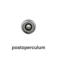 China shaft drive、cartridge、postoperculum for sale