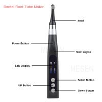 China DENTAL ENDO MOTOR for sale