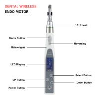 China DENTAL WIRELESS ENDO MOTOR for sale
