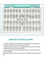China KIDS CROWN Primary molar crown for sale