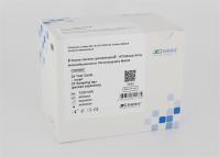 China 25pcs Serum Hcg At Home Hormone Test Kits For Pregnant Women for sale