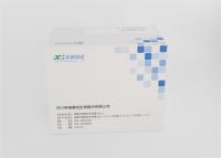 China Single Pack Home Rapid Chlamydia Test , 0.5mg/L-100.0mg/L SAA Swab Rapid Test Card for sale