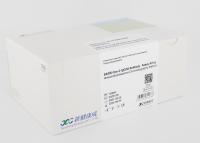 China Whole Blood IgG IgM Covid 19 Rapid Test Kit POCT Of Immunoflouscent Method for sale