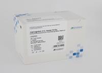 China Assay Combo Hba1c Rapid Test Kit 4% Linear Range Immunofluorescence Chromatography for sale