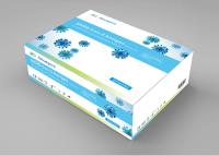 China 1pcs Saliva Antigen Rapid Test Kit Rapid Detection Kit For Home Use for sale