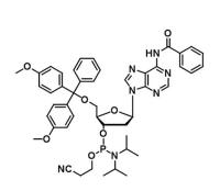 China RNA DNA Synthesis Phosphoramidite 5g/bottle A G C T Phosphoramidites for sale