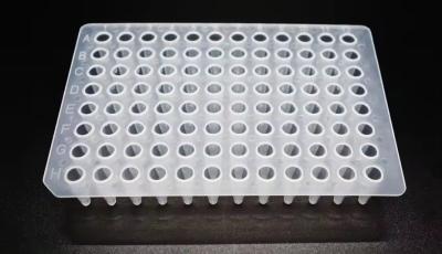 China OEM Other Synthesis Consumables Well Fully Skirted Transparent PCR Plate for sale