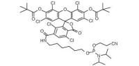 China Lab Synthesis Phosphoramidite And CPG Fluorescent Dyes CE Phosphoramidites for sale