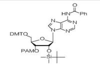 China Laboratory Oligo Synthesis Phosphoramidite And CPG Raw Materials for sale