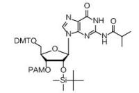 China Laboratory Oligo Synthesis Phosphoramidite And CPG Raw Materials for sale