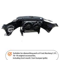 China Premium Genuine Front End Assembly Kit - Grille, Fog Lights & Radiator for 2015-2021 for Ford Mustang 2.3T for sale