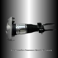 China For Audi Q7 4L Touareg 7LA 7L6 7L7 Porsche Cayenne 955 Rear Air Suspension Strut 7L8616039D 7L8616040D BMW Air Shock Absorber for sale