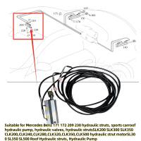 China Convertible Top Hydraulic Cylinder for Mercedes-Benz SLK280  SLK350  R171 OEM A1718000072 Replacement Cabriolet Pole for sale