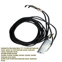 China Convertible Top Hydraulic Cylinder for Mercedes-Benz SLK280  SLK350  R171 OEM A1718000072 Replacement Cabriolet Pole for sale