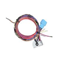 China Harman Kardon Audio Upgrade Kit for BMW G20 320i 328i Amplifier Wiring Harness Premium Sound System for Car Music Enthusiasts for sale