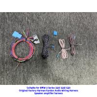 China Harman Kardon Audio Upgrade Kit for BMW G20 320i 328i Amplifier Wiring Harness Premium Sound System for Car Music Enthusiasts for sale